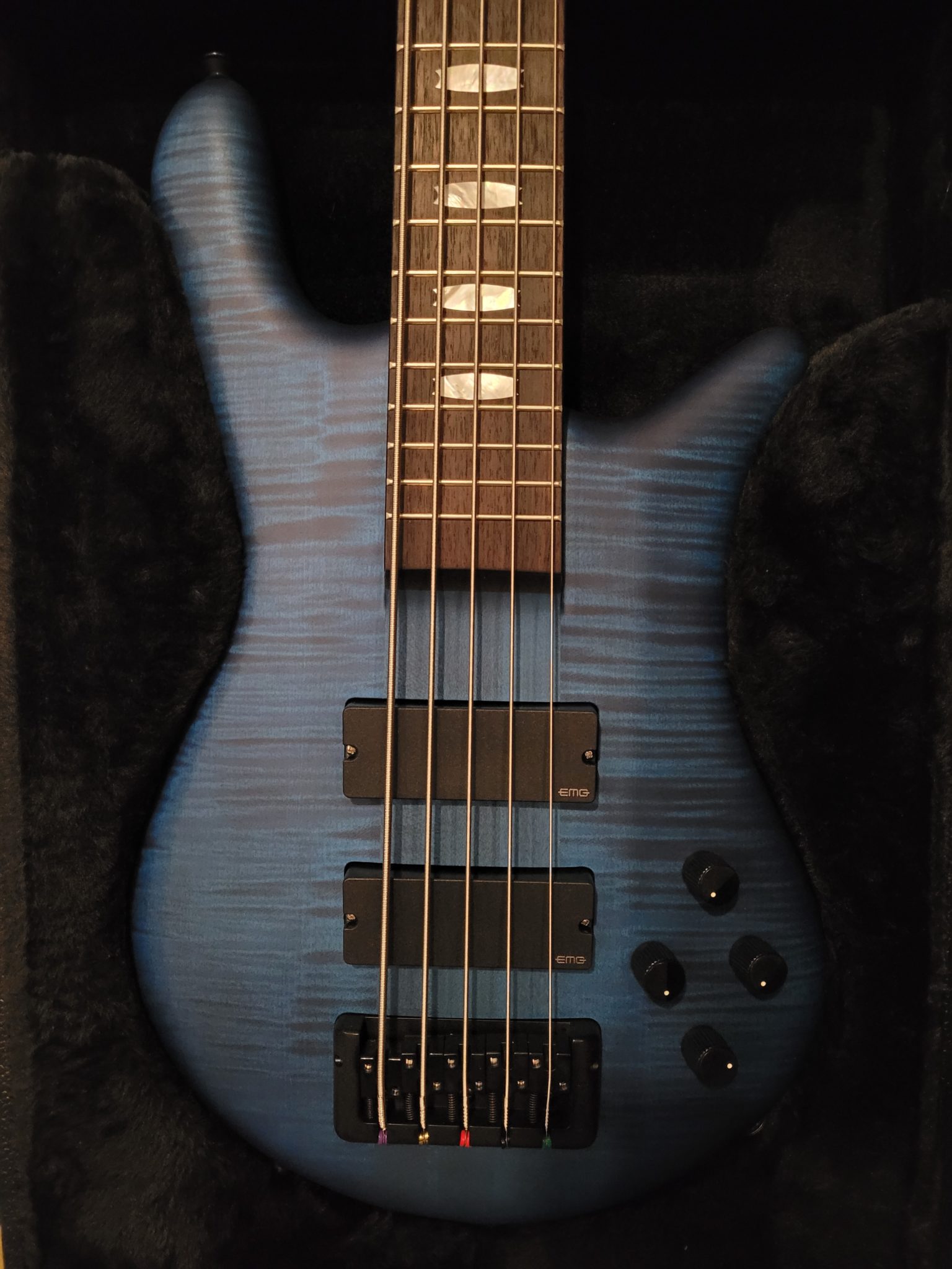 In Stock Basses | Bass Guitars Available | Bass North