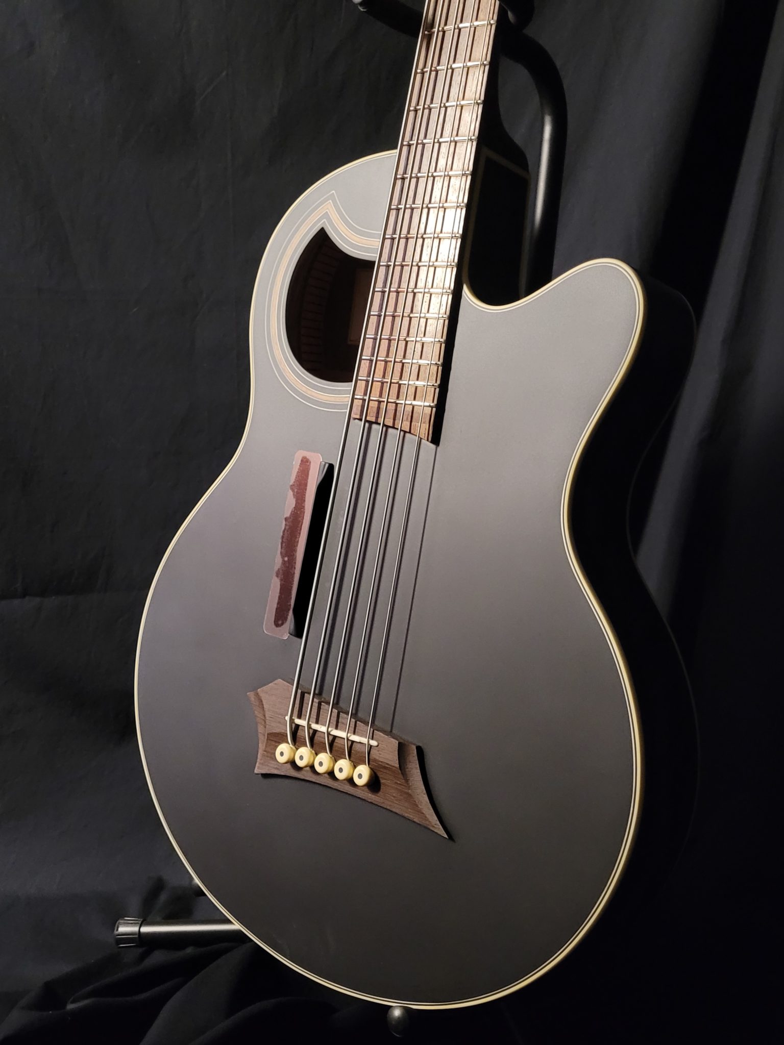 Warwick RockBass Alien Deluxe Hybrid Thinline Acoustic, 5-StringSold ...