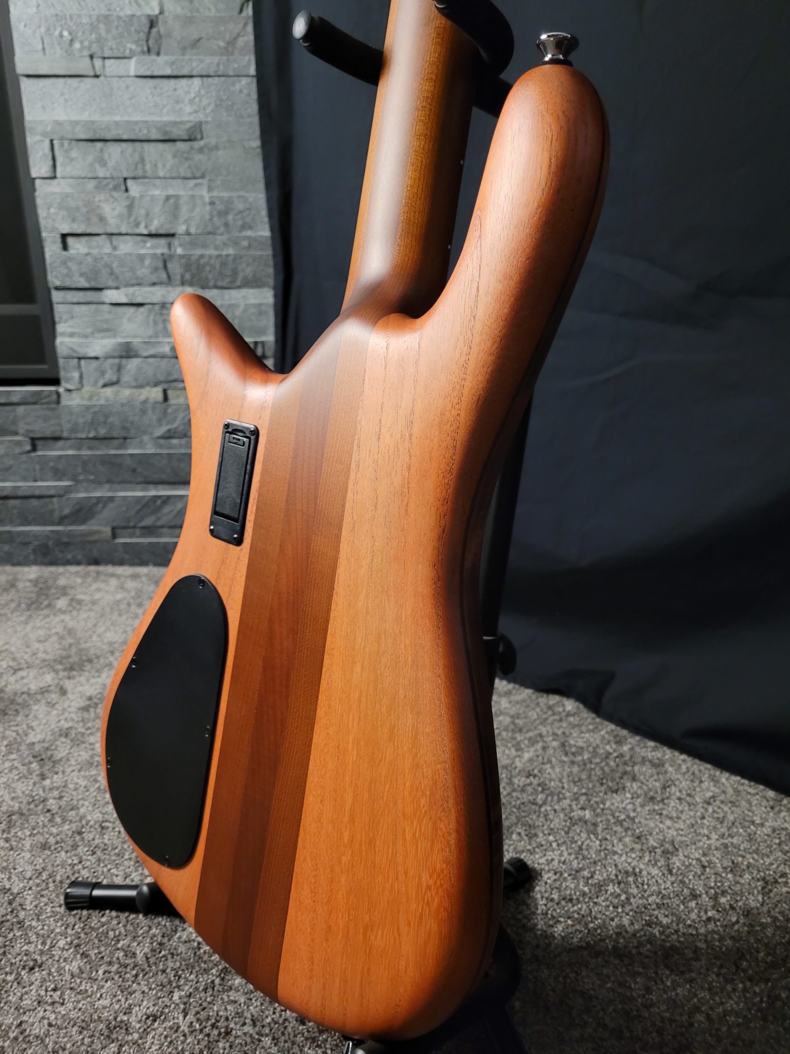 Spector Euro 5 RST, 5-StringSold | Bass North