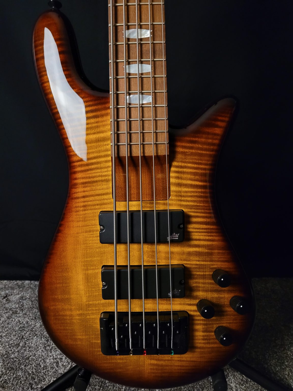 In Stock Basses | Bass Guitars Available | Bass North
