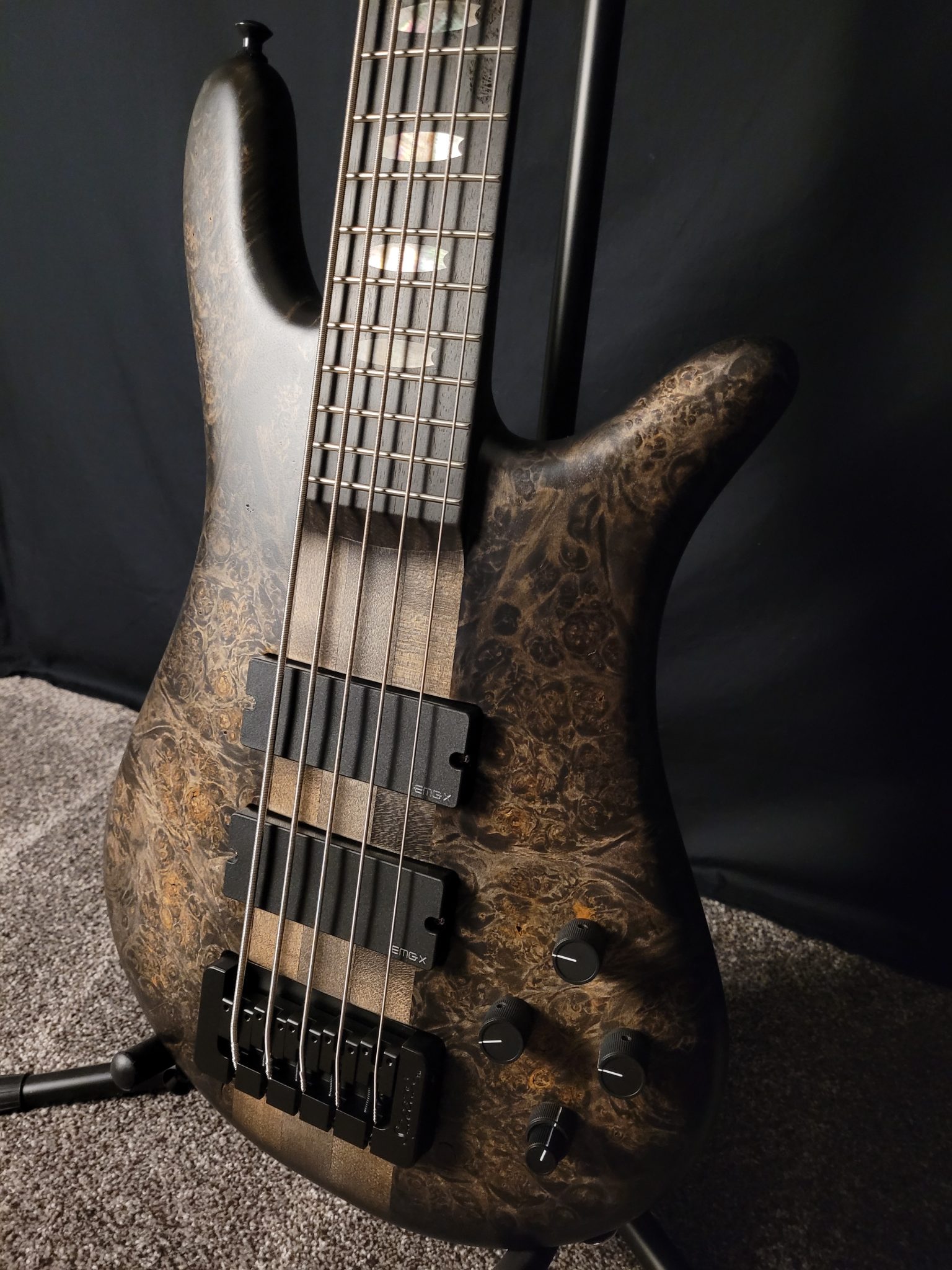 Spector USA NS-2, 5-String Custom (Bass North Exclusive Finish ...