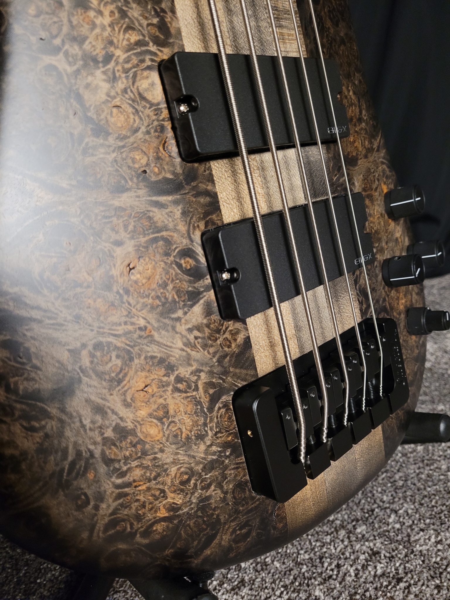 Spector USA NS-2, 5-String Custom (Bass North Exclusive Finish ...