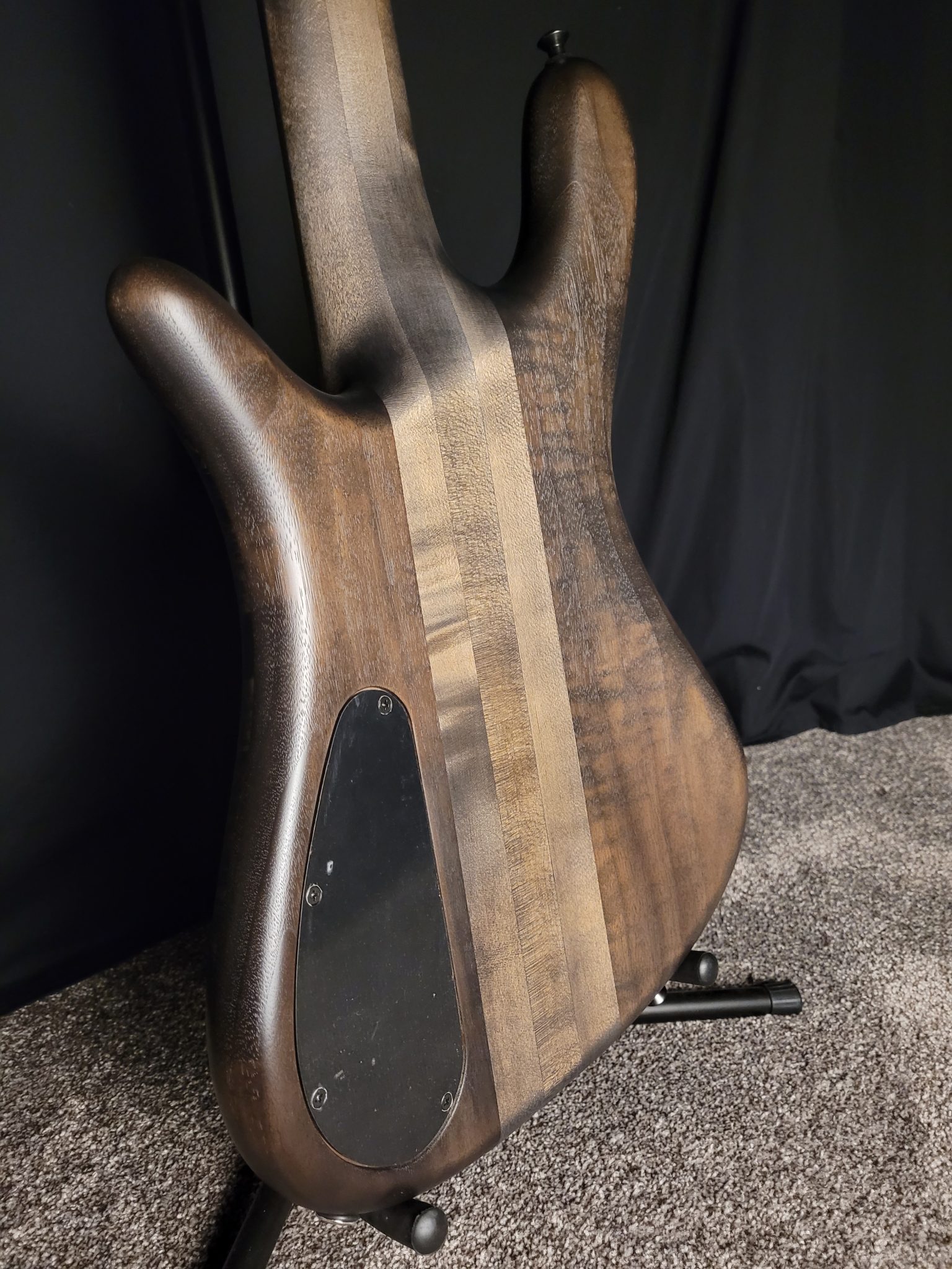 Spector USA NS-2, 5-String Custom (Bass North Exclusive Finish ...