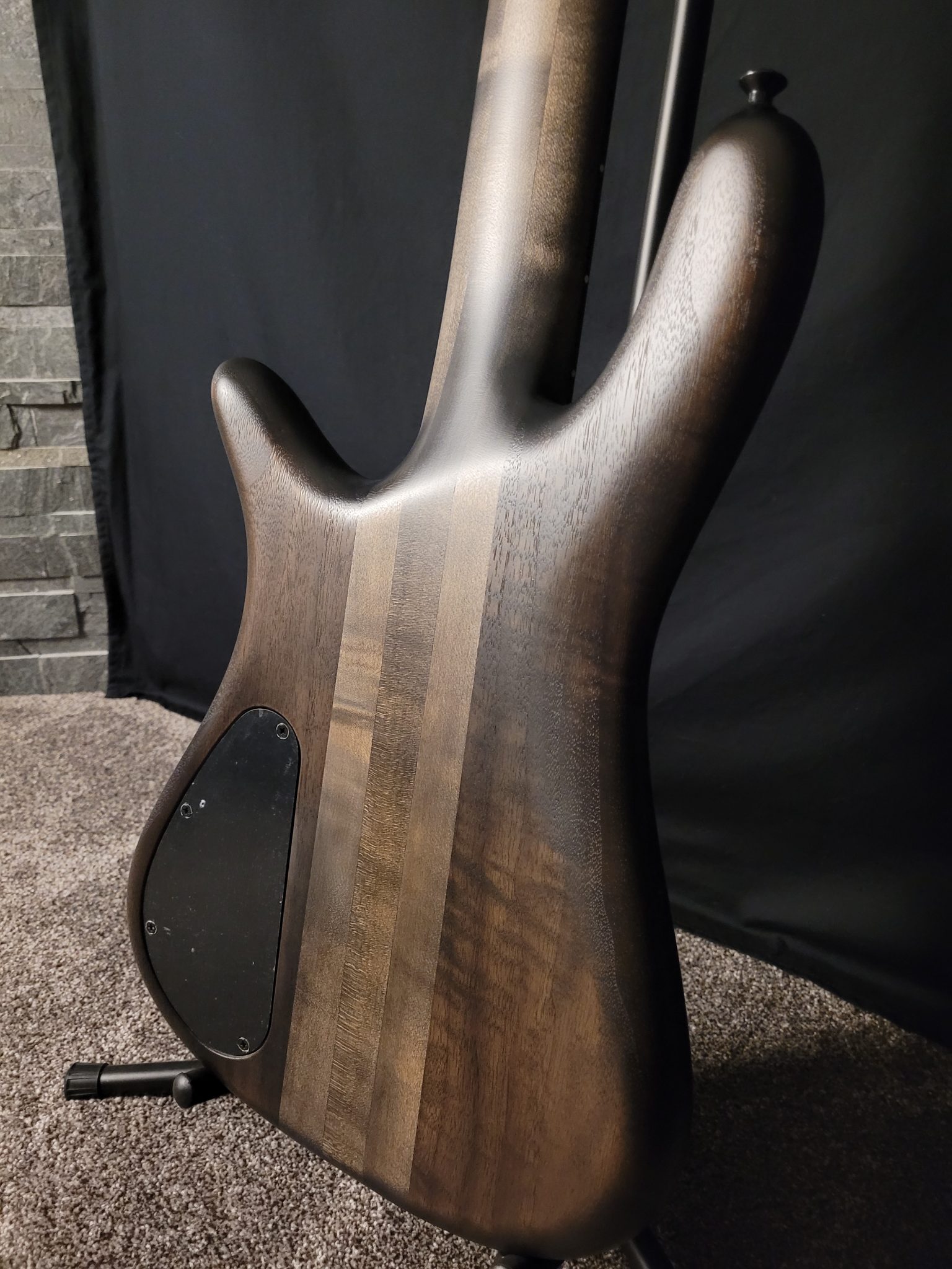 Spector USA NS-2, 5-String Custom (Bass North Exclusive Finish ...