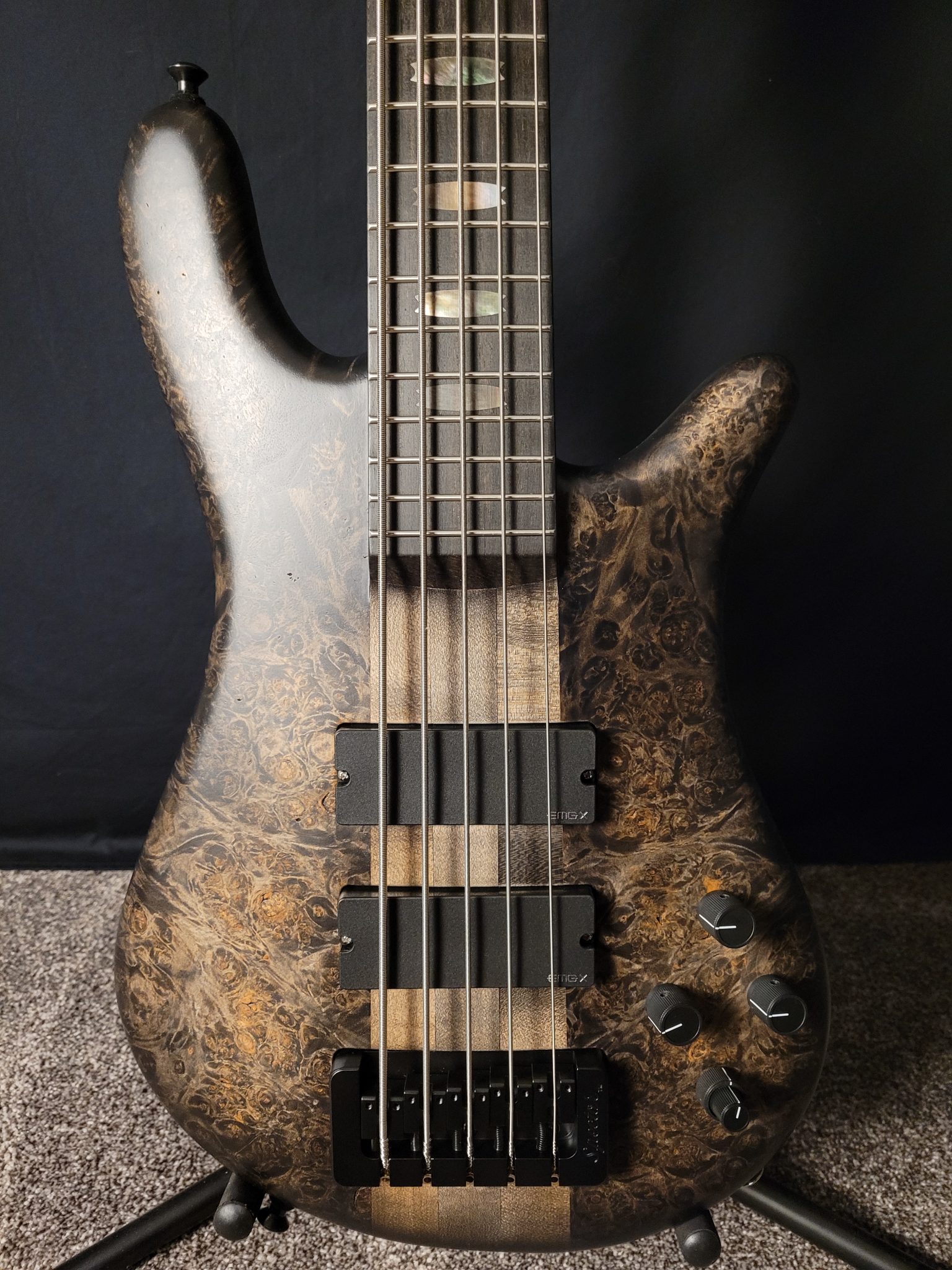 Spector USA NS-2, 5-String Custom (Bass North Exclusive Finish ...